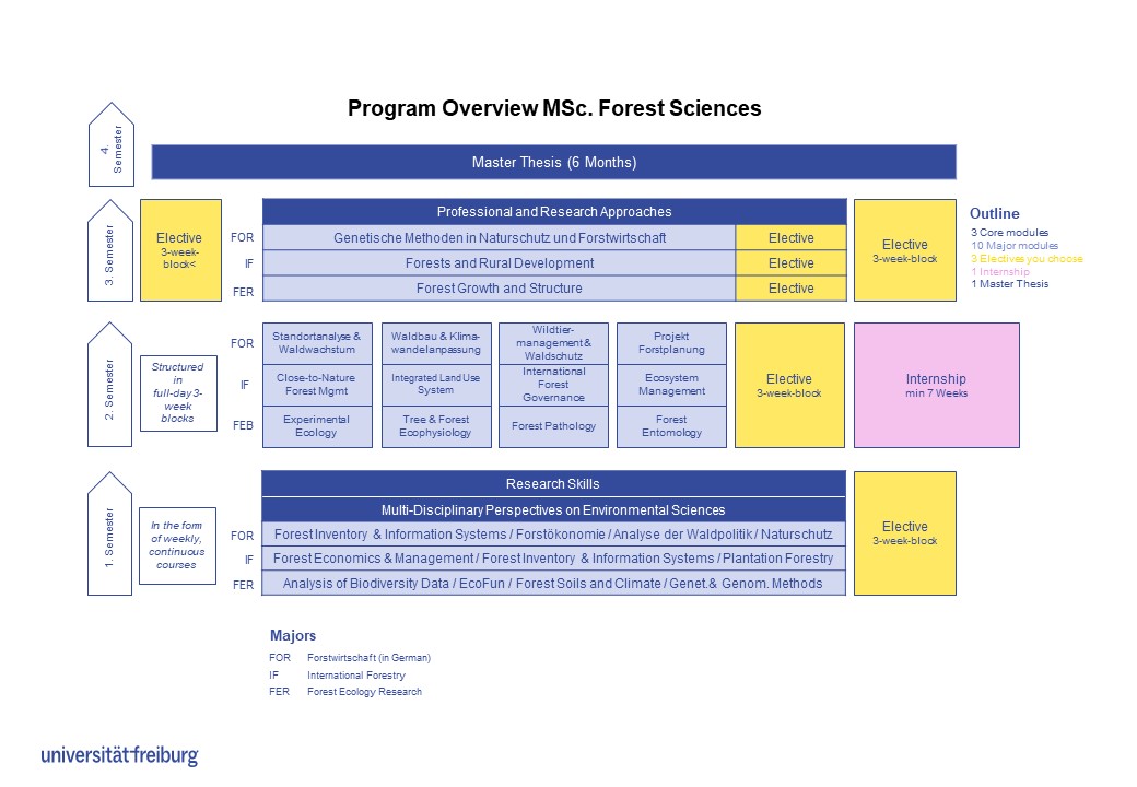 Welcome to the Master of Forest Sciences — M.Sc. Forest Sciences